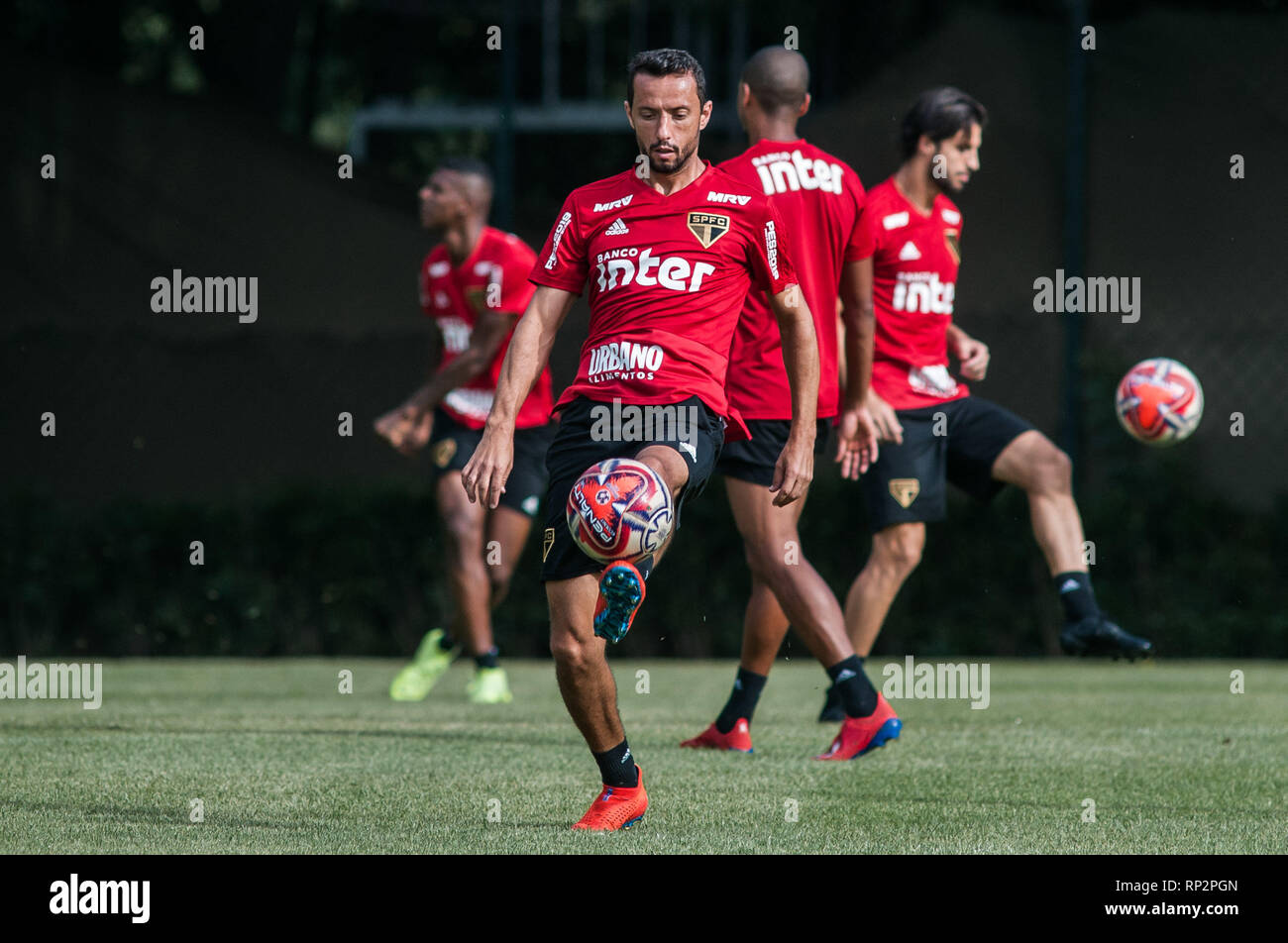 Sao Paulo, Brazil. 20th Feb, 2019. Nene during training at São Paulo ...