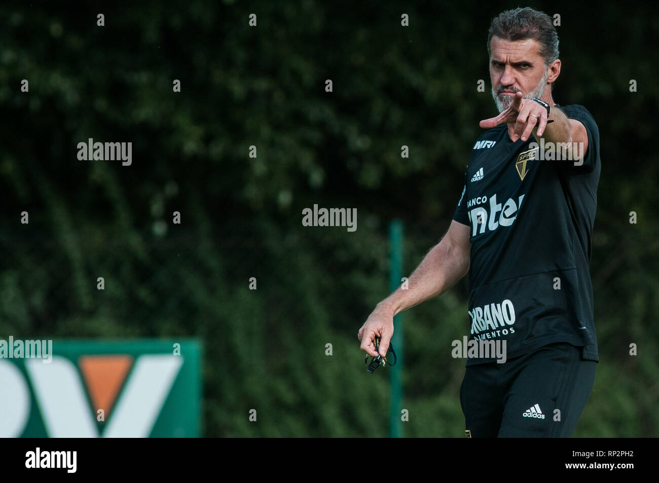 Sao Paulo, Brazil. 20th Feb, 2019. Vagner Mancini during training at ...