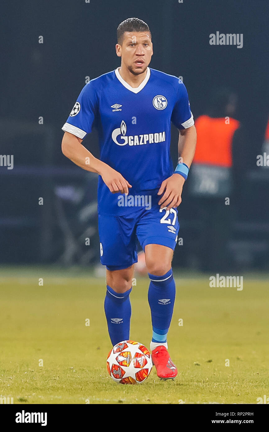 Gelsenkirchen, Germany. 20th Feb, 2019. GELSENKIRCHEN, Veltins Arena ...