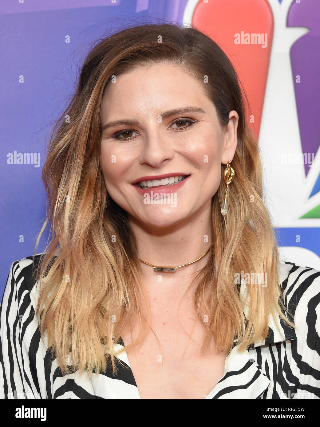 Hollywood, California, USA. 20th Feb, 2019. Jac Vanek on the carpet at ...