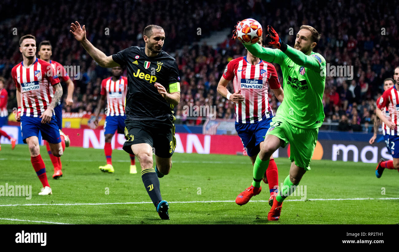 Madrid, Spain. 20th Feb, 2019. Jan Oblak (goalkeeper, Atletico de Madrid) cathes the ball near ...