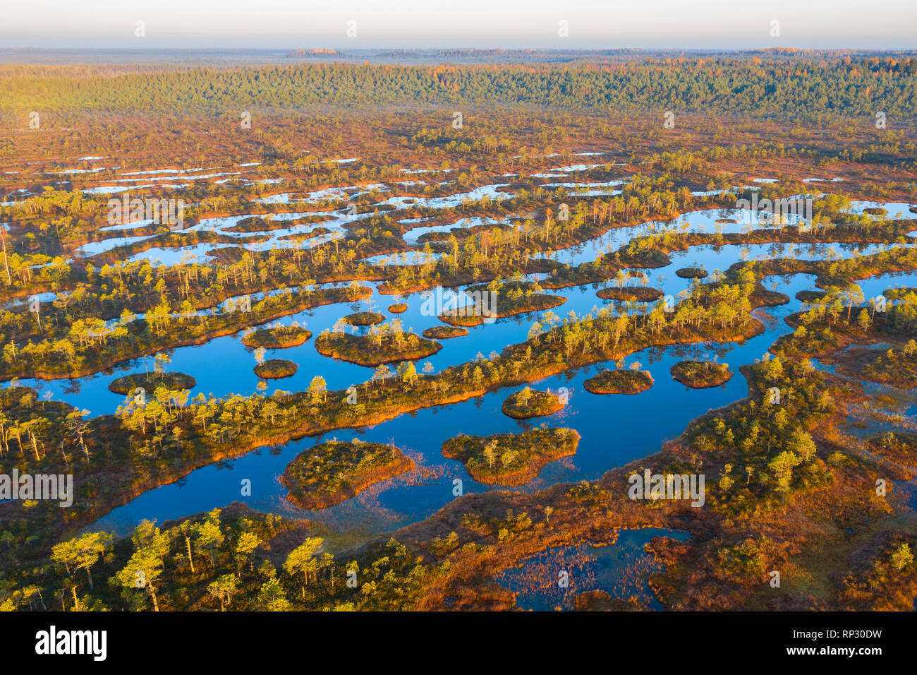 Aerial view of Mannikjarve bog pools and islets in Endla Nature Reserve ...