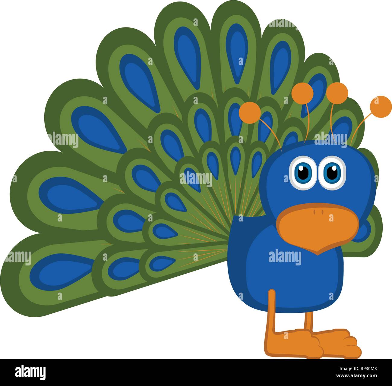 Cute peacock hi-res stock photography and images - Alamy