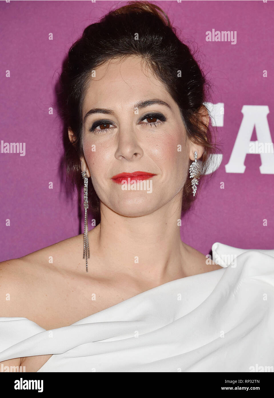 BEVERLY HILLS, CA - FEBRUARY 19: Erin Benach arrives at the 21st CDGA ...