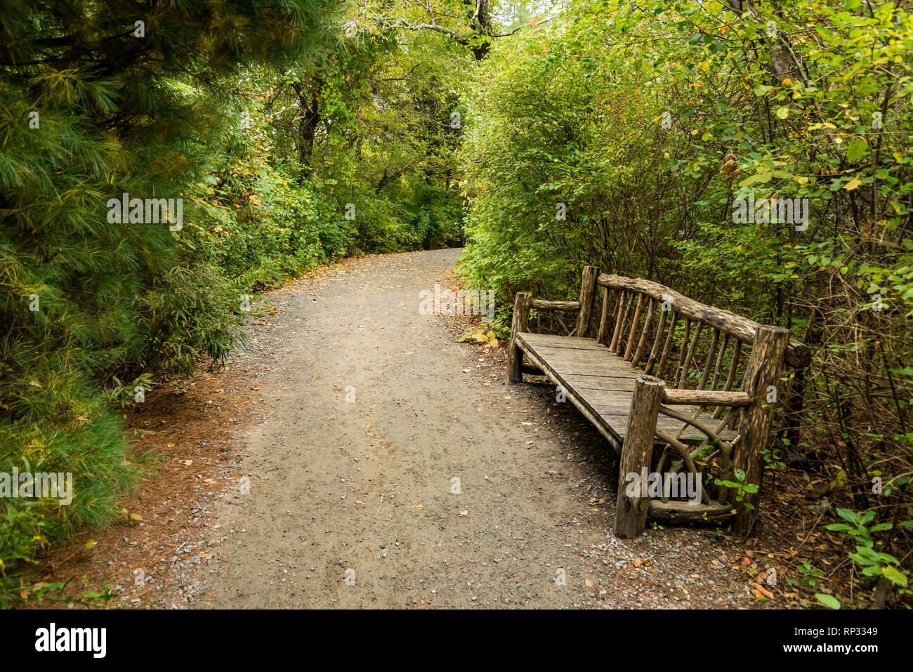 autumn forest mist bench panorama in Massachussest Stock Photo - Alamy