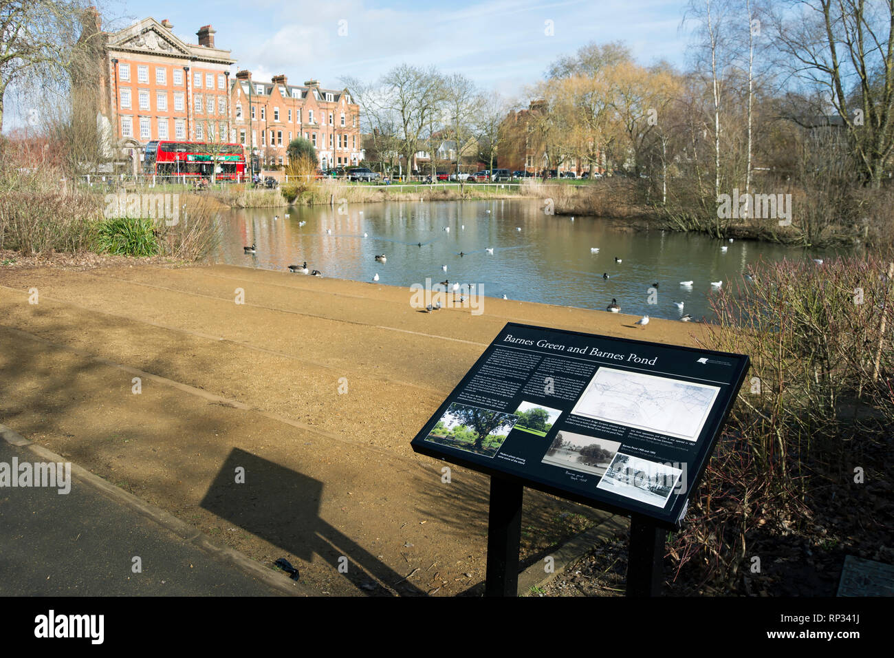 Barnes pond hi-res stock photography and images - Alamy