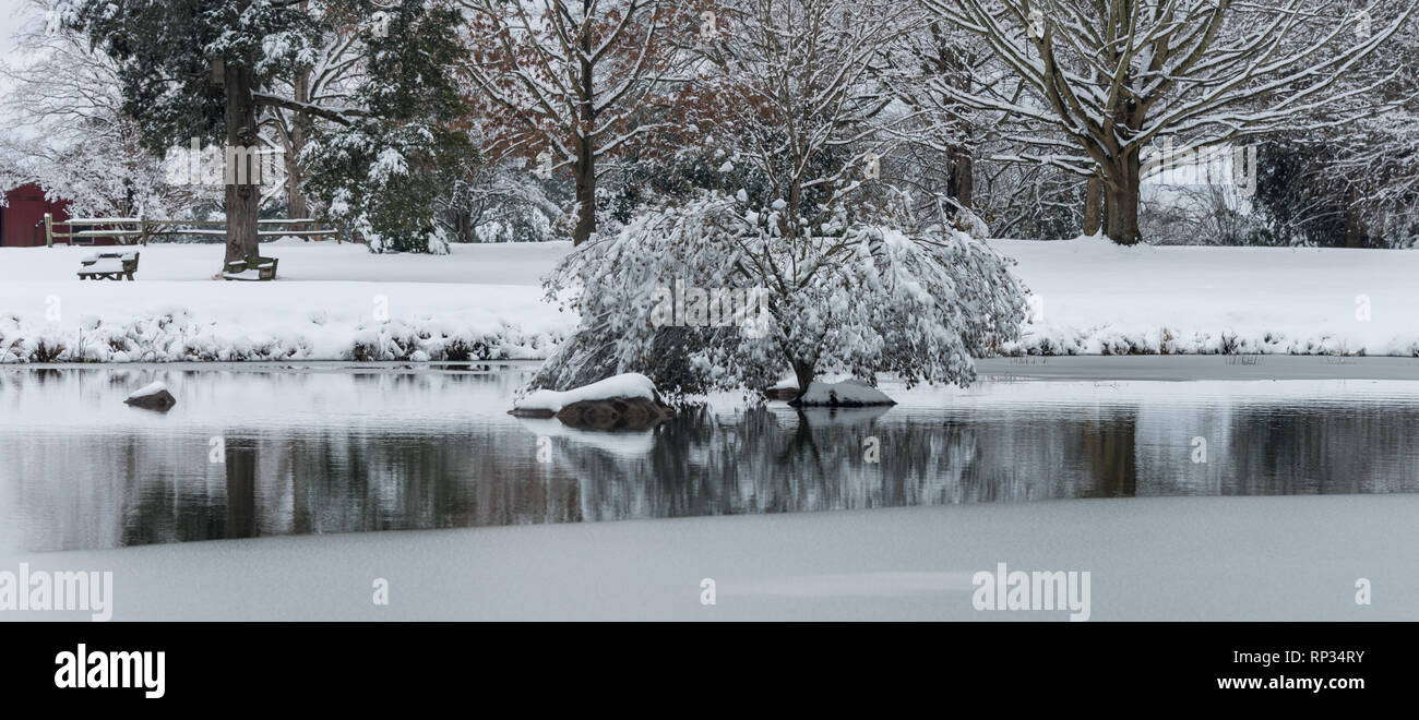 Park benches pond hi-res stock photography and images - Alamy