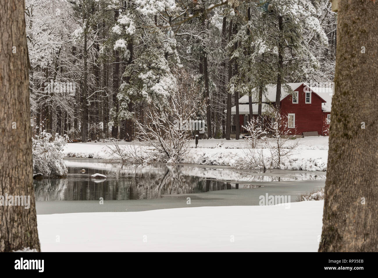 Frozen pond new forest hi-res stock photography and images - Alamy