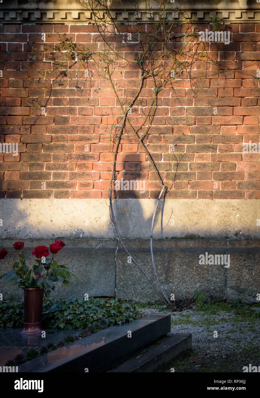 Jesus shadow hi-res stock photography and images - Alamy