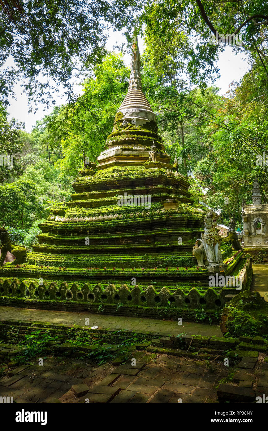 Wat Palad temple stupa in jungle, Chiang Mai, Thailand Stock Photo - Alamy