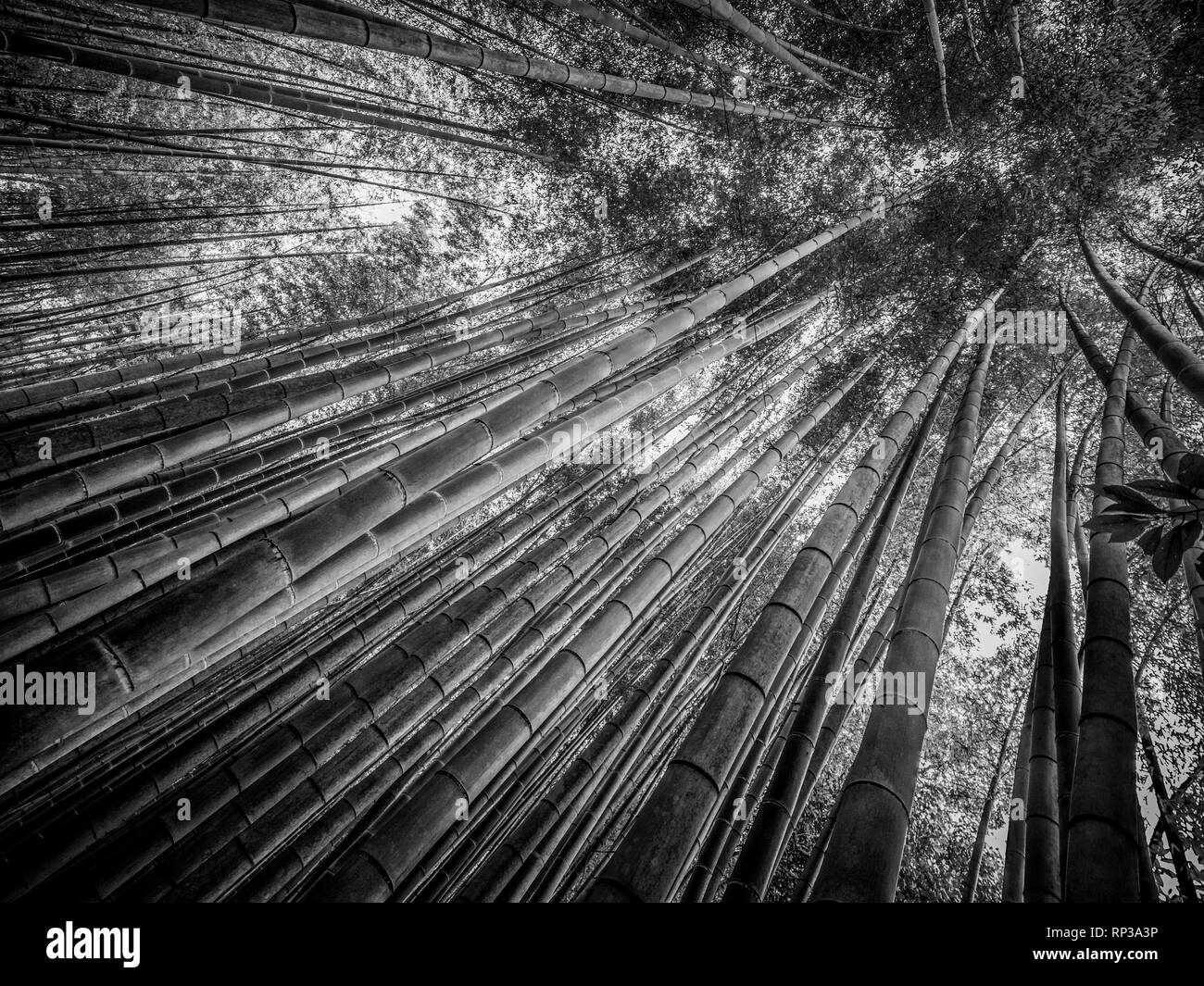 Amazing view old city in Black and White Stock Photos & Images - Alamy