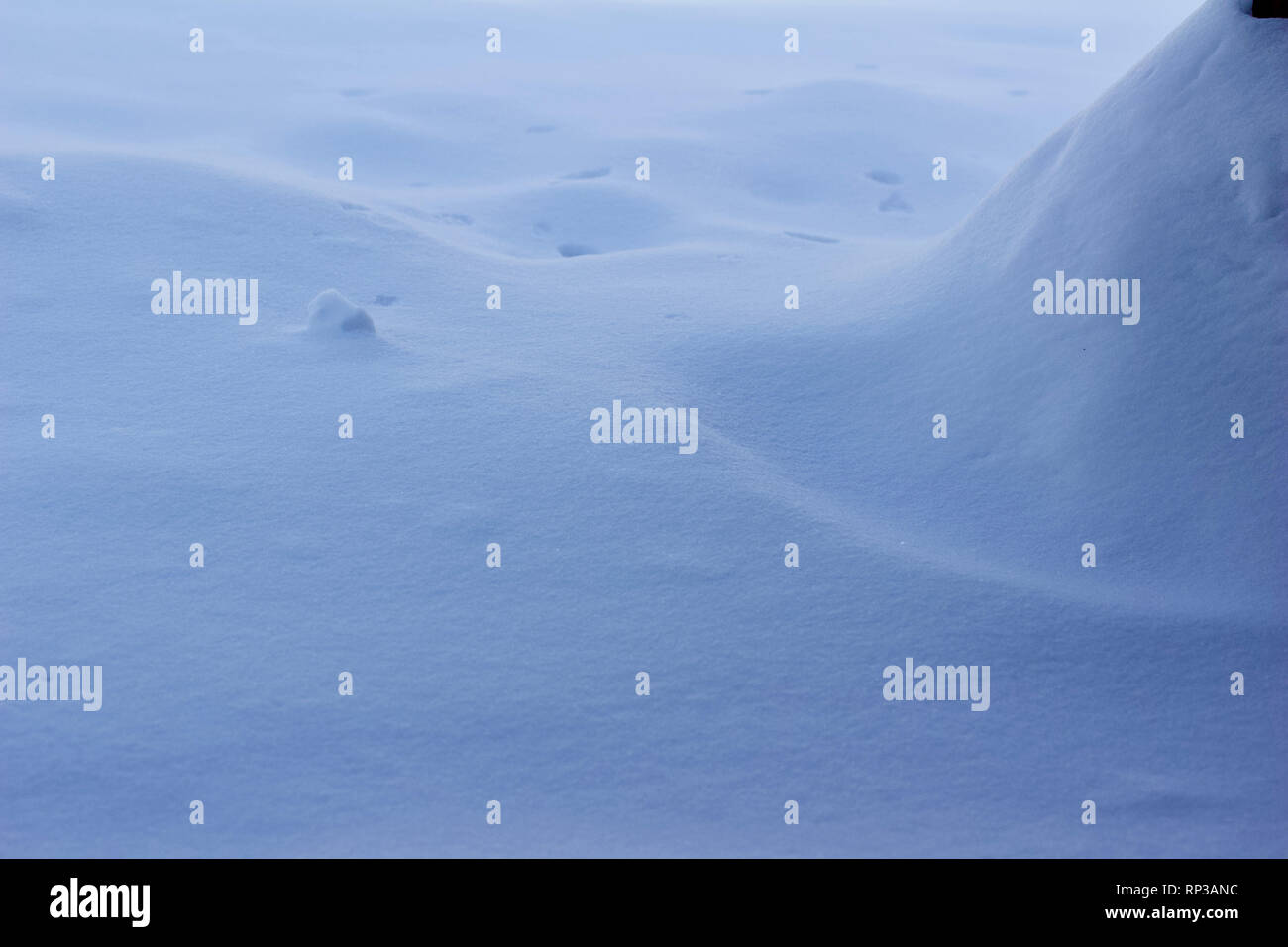 Swirling landscape view of deep drifting snow with soft curving hills ...