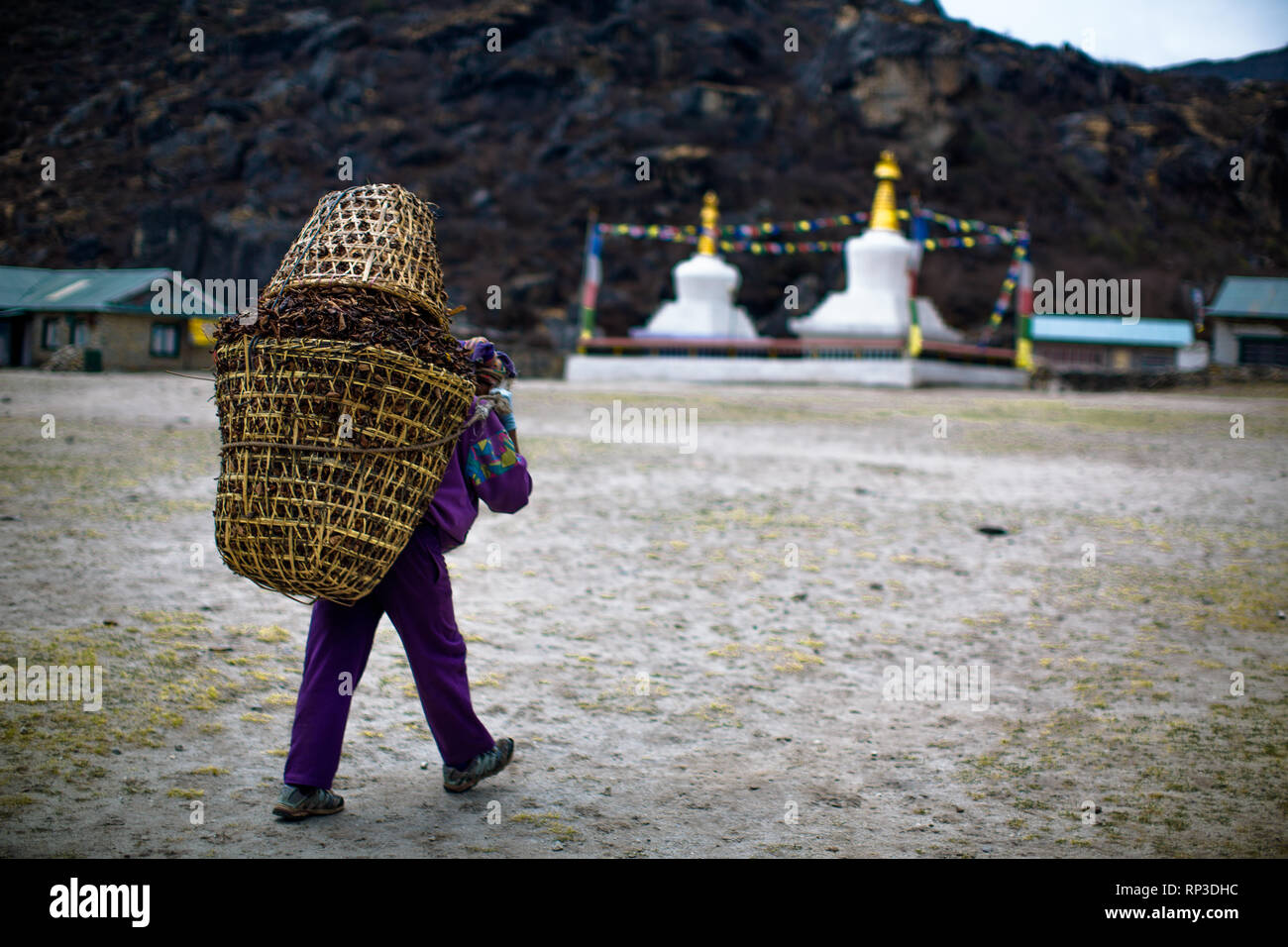 Path up mount everest hi-res stock photography and images - Alamy
