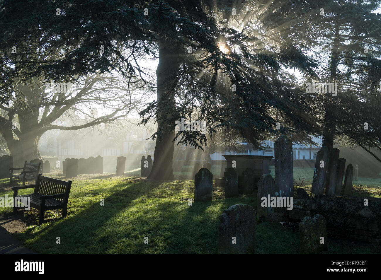 Fall trees in churchyard hi-res stock photography and images - Alamy