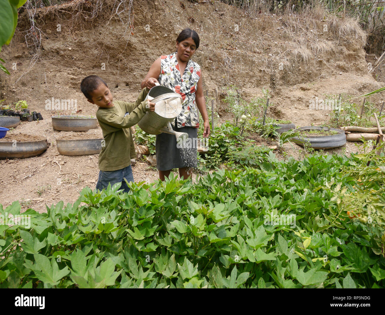 Nicaragua FEDICAMP projects. Home of Reyna Margarita Vanegas (58) and ...