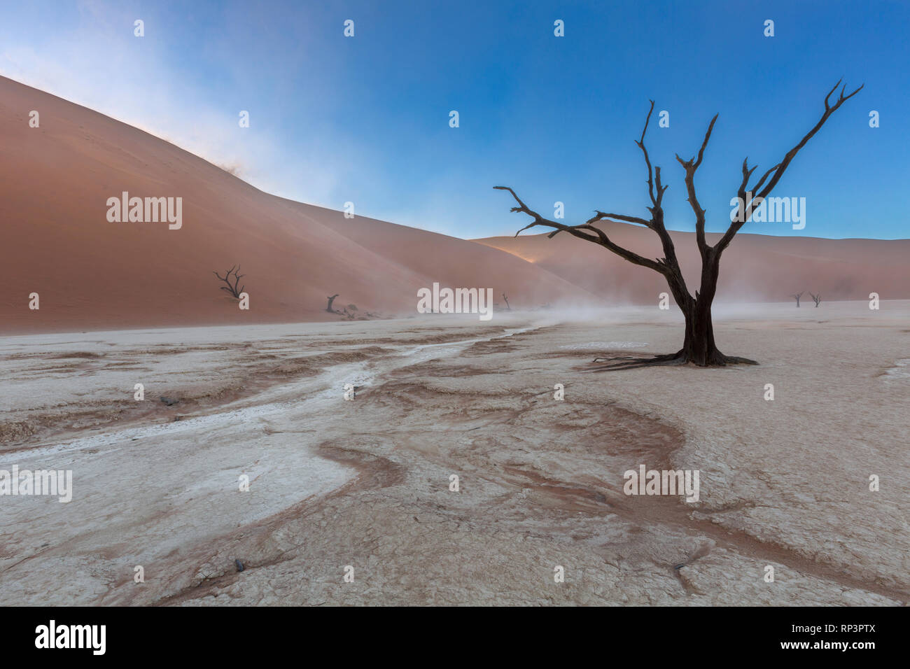 Sossusvlei namibia storm clouds hi-res stock photography and images - Alamy