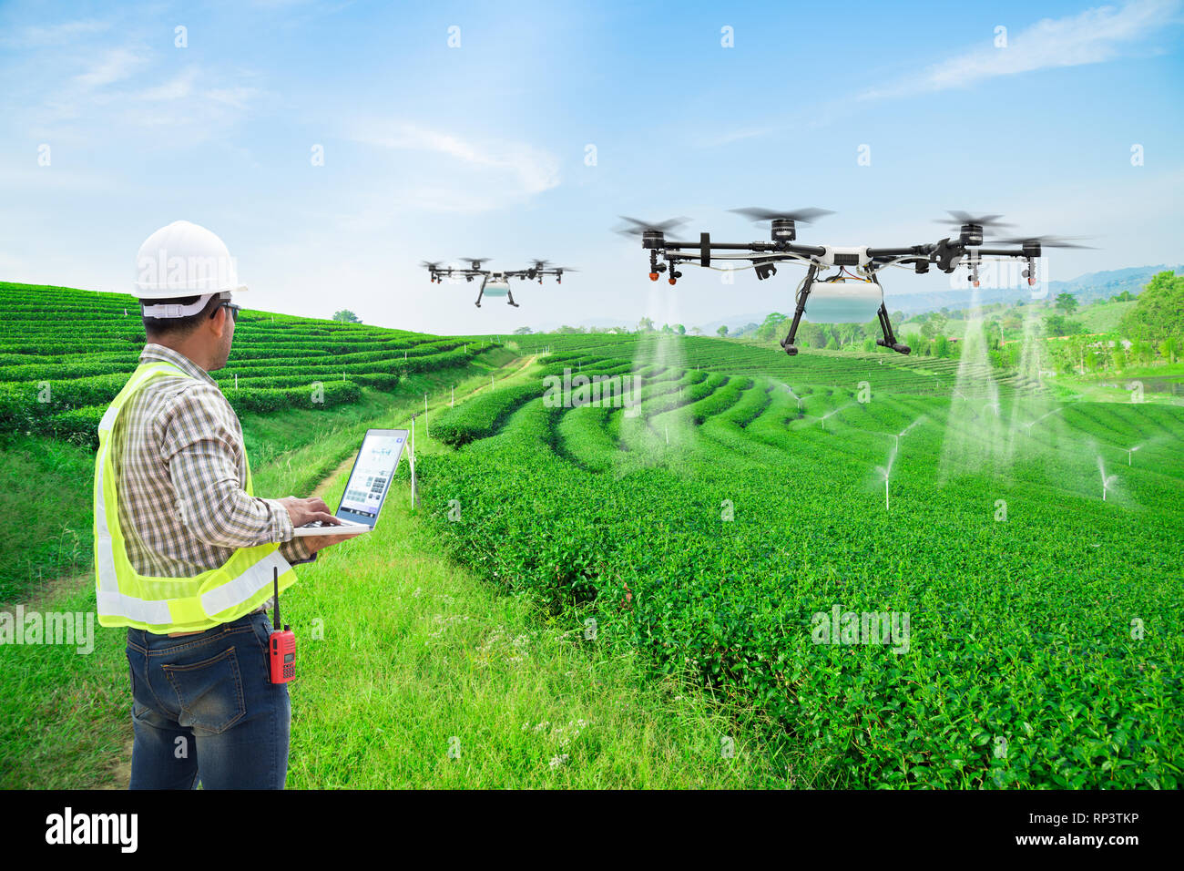 Technician farmer use wifi computer control agriculture drone fly to sprayed fertilizer on the ...