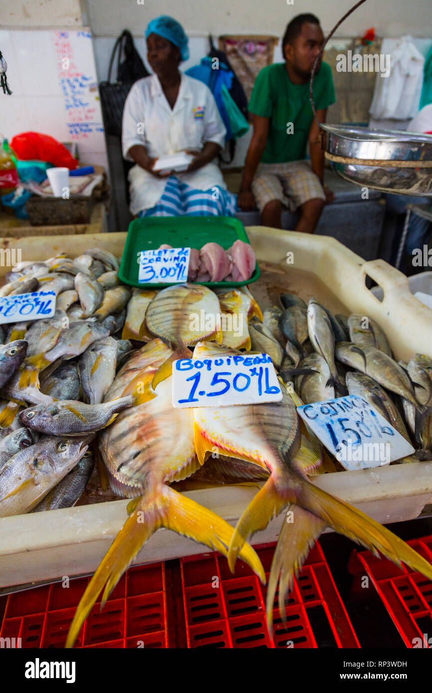 Fish Market, Panama City, Panama, Central America, America Stock Photo ...