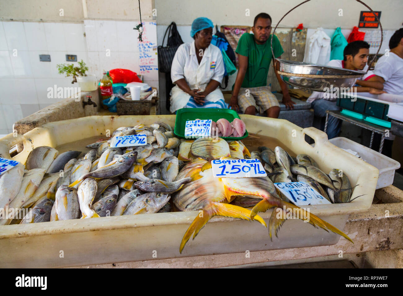 Fish Market, Panama City, Panama, Central America, America Stock Photo ...