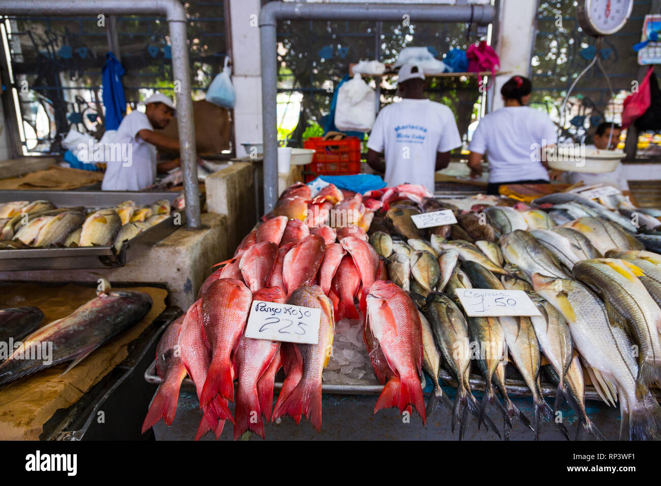 Fish Market, Panama City, Panama, Central America, America Stock Photo ...