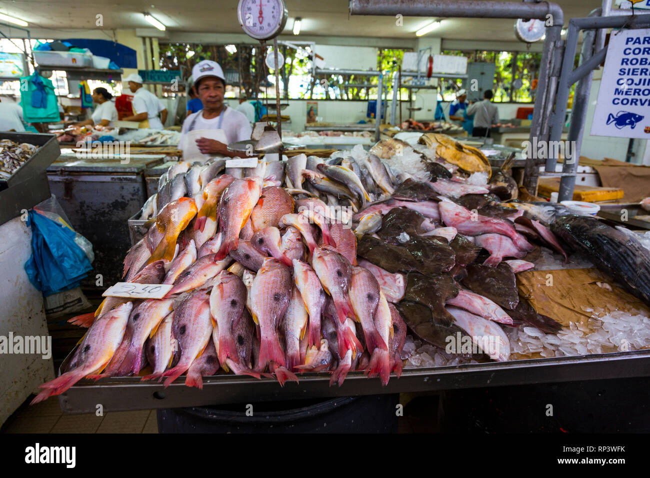Fish Market, Panama City, Panama, Central America, America Stock Photo ...
