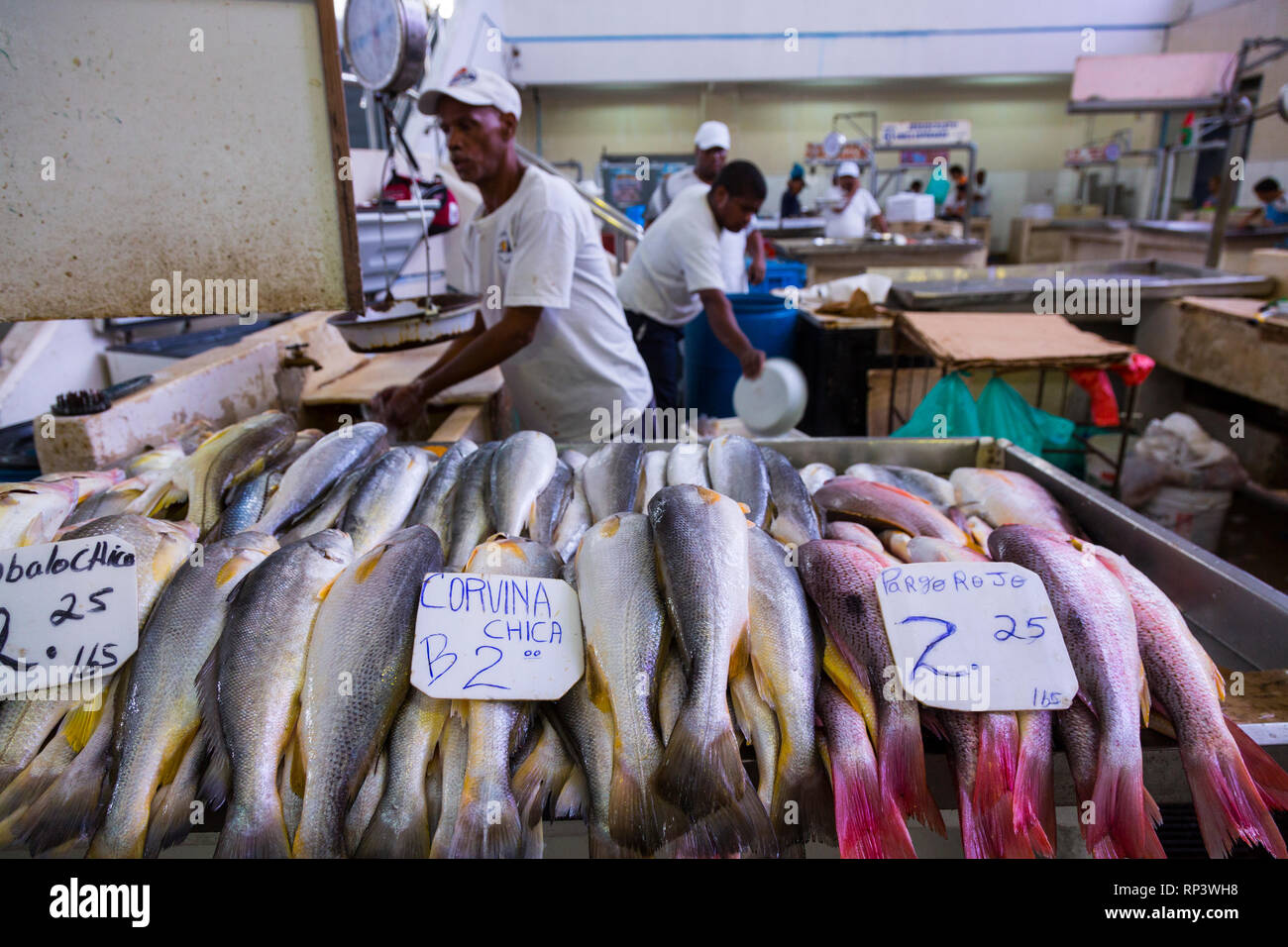 Fish Market, Panama City, Panama, Central America, America Stock Photo ...
