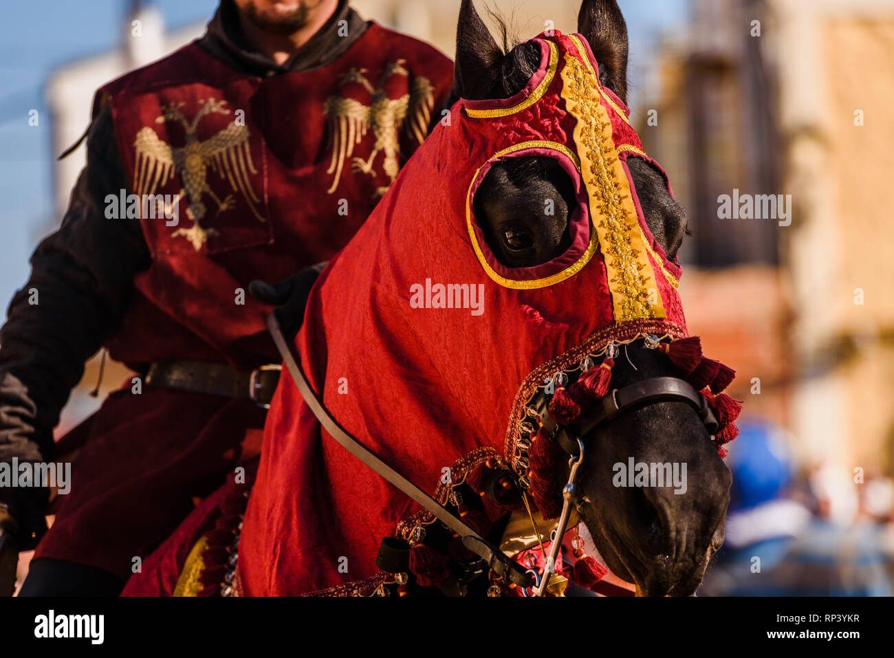 Detail of the armor of a knight mounted on horseback during a display ...