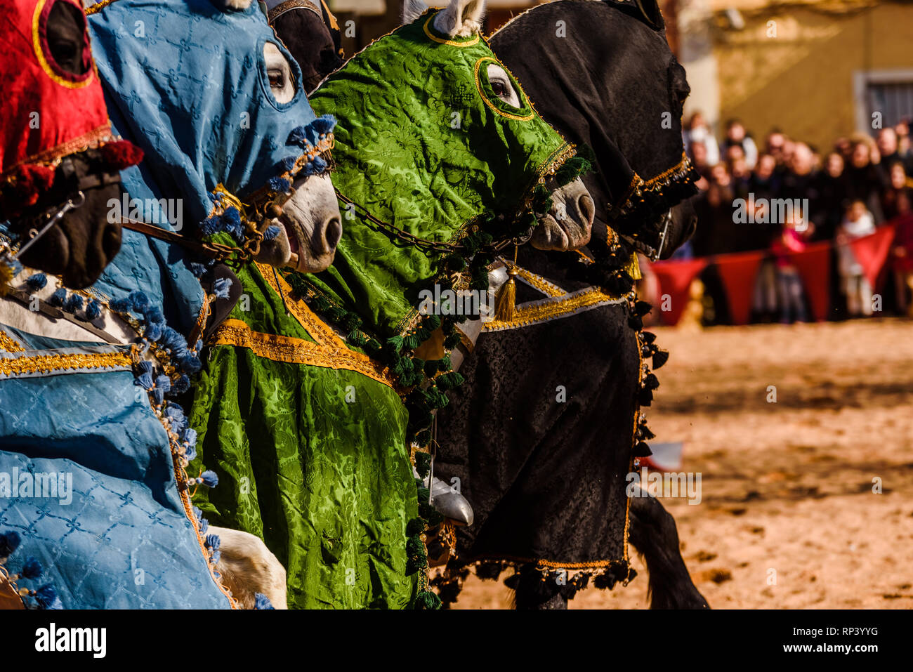 Detail of the legs of galloping horses adorned as medieval mounts ...