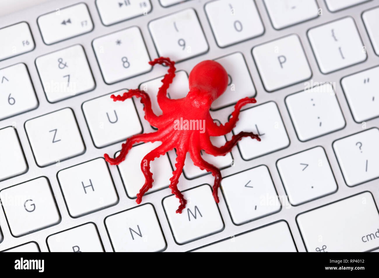 Data octopus hi-res stock photography and images - Alamy