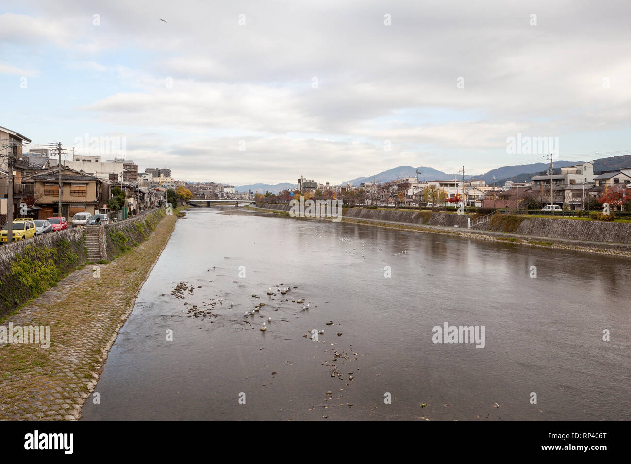 Kamo River in Kyoto Japan Stock Photo - Alamy