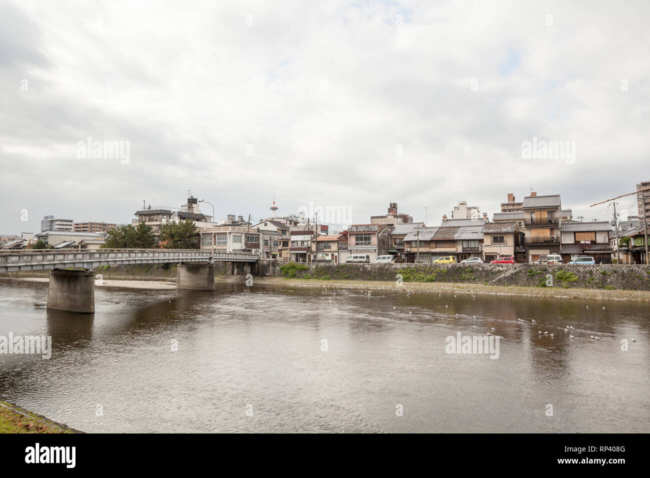 Kamo river in kyoto hi-res stock photography and images - Alamy