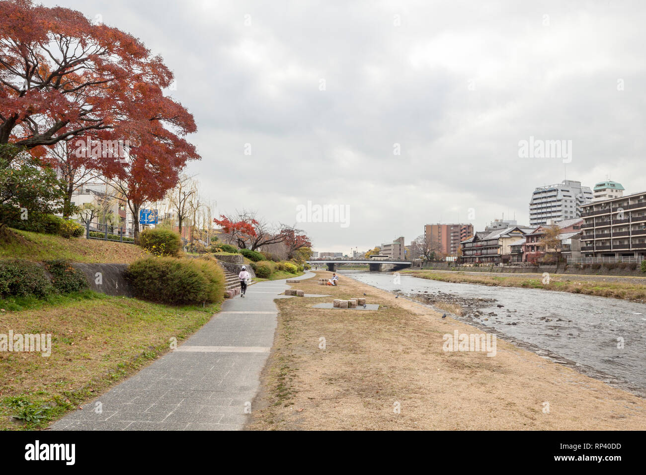 Riverbank of the Kamo River in Kyoto Japan Stock Photo - Alamy