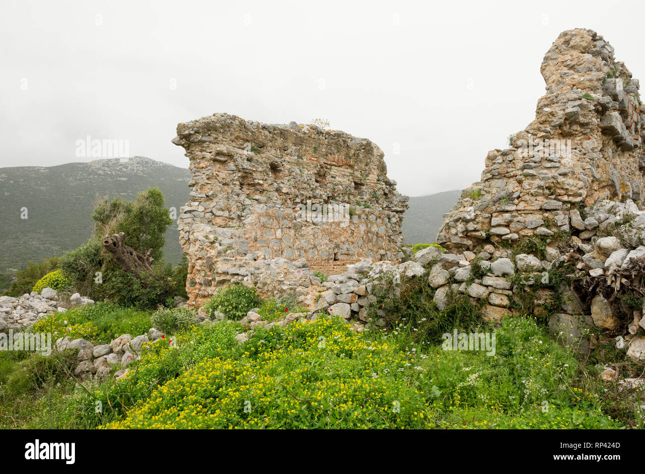 Zarax hi-res stock photography and images - Alamy