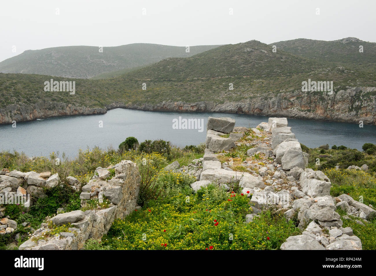 Zarax hi-res stock photography and images - Alamy