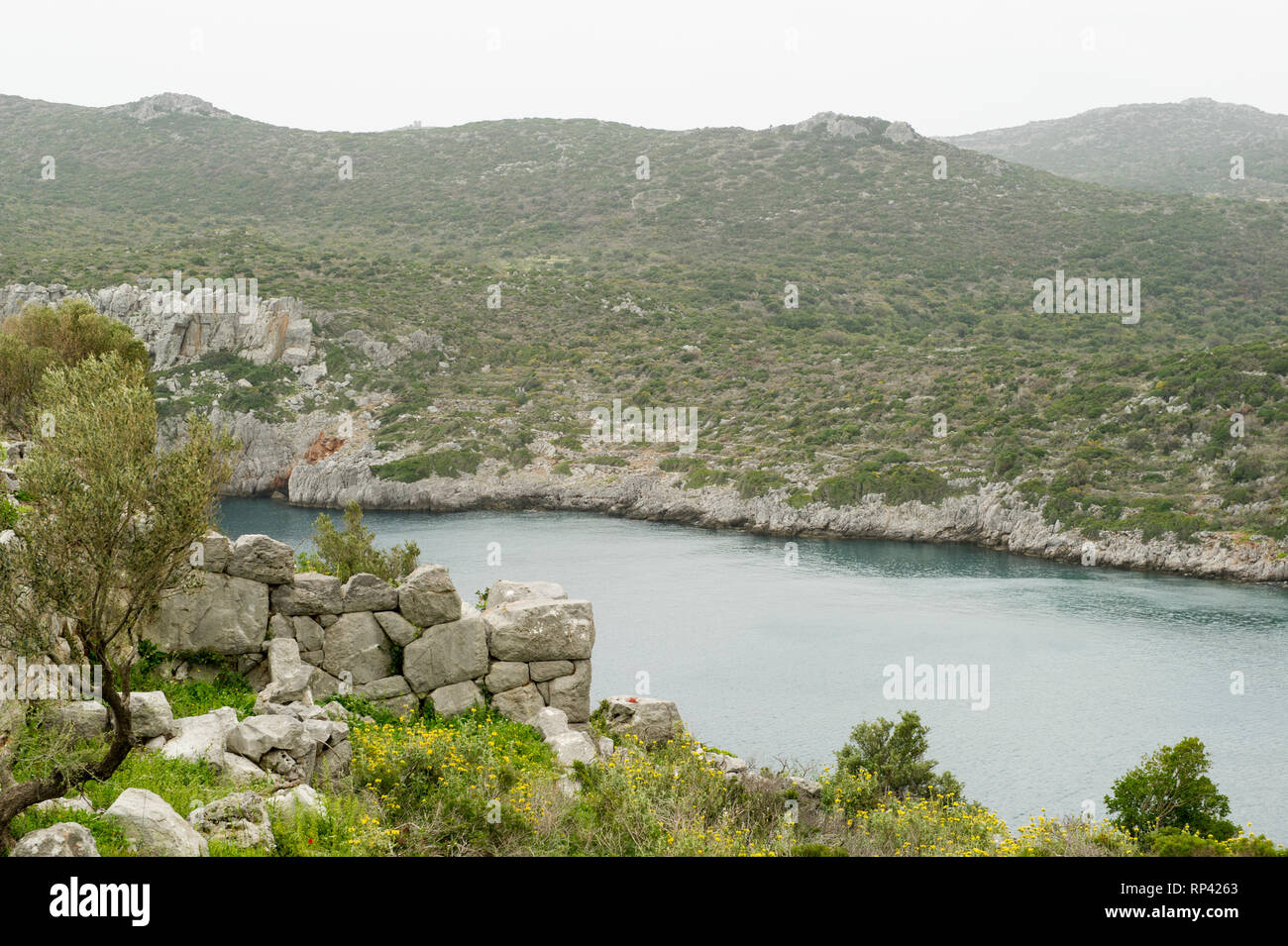 Zarax hi-res stock photography and images - Alamy