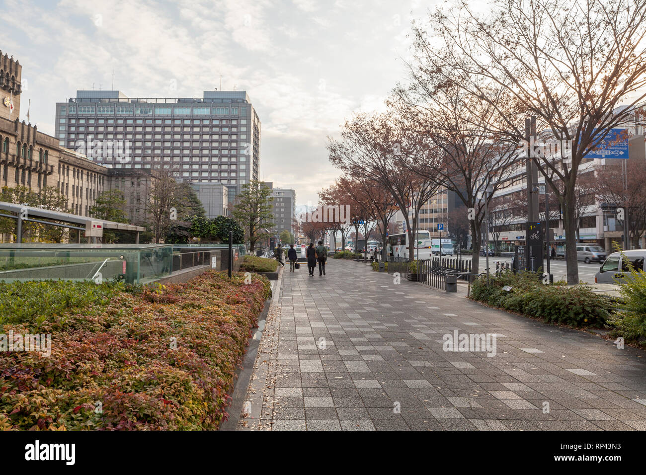 A wide, tree-lined pavement in downtown Kyoto, Japan Stock Photo - Alamy