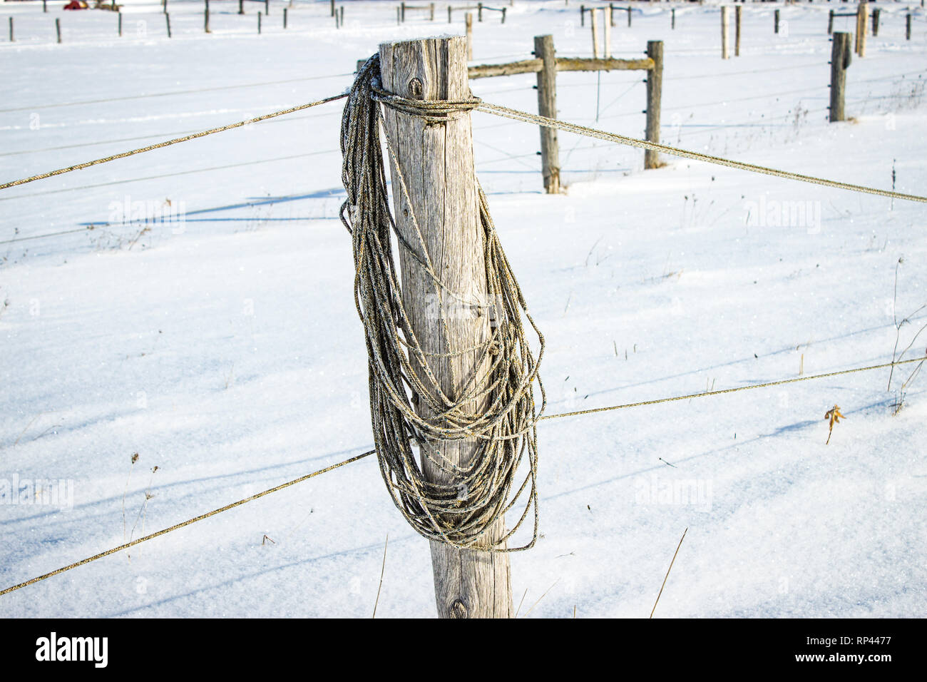Frozen and forgotten rope Stock Photo - Alamy