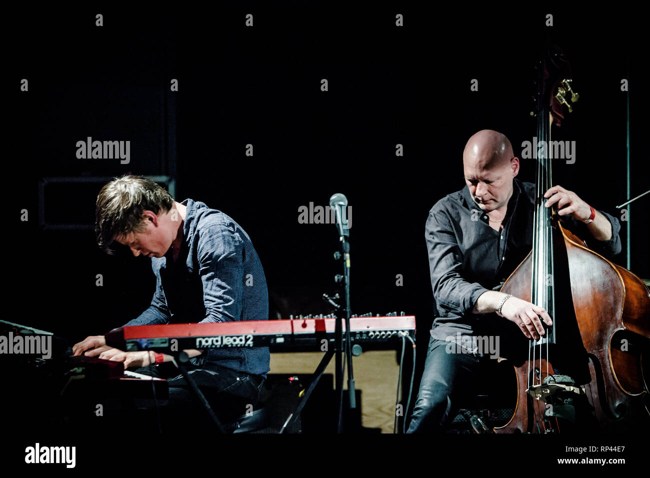 Dan berglund bass player hi-res stock photography and images - Alamy