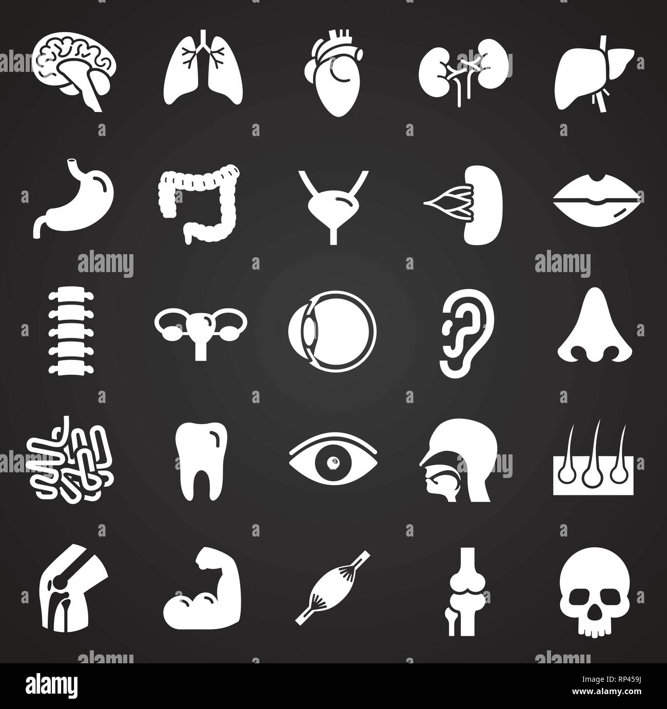 Human organs set on black background for graphic and web design, Modern ...