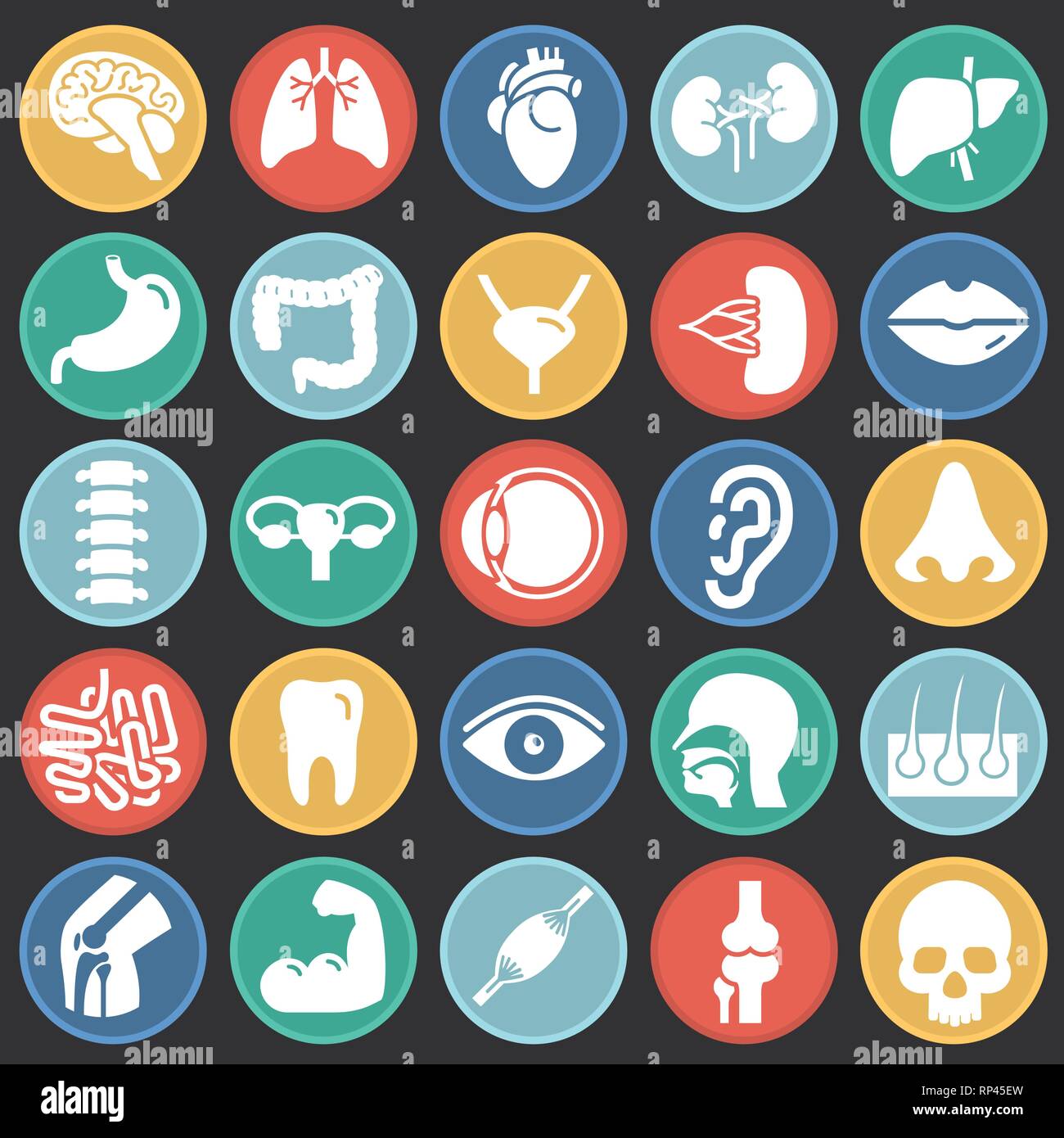 Human organs set on color circles black background for graphic and web ...