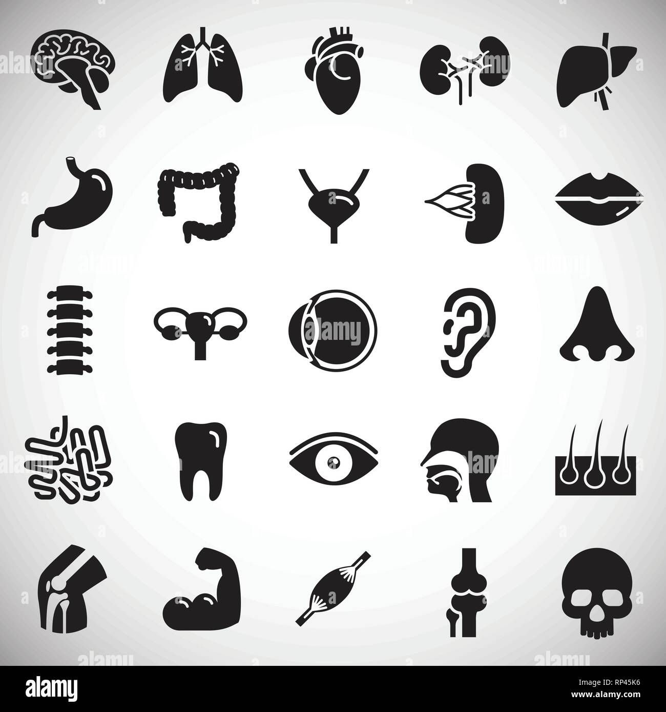 Human organs set on white background for graphic and web design, Modern ...