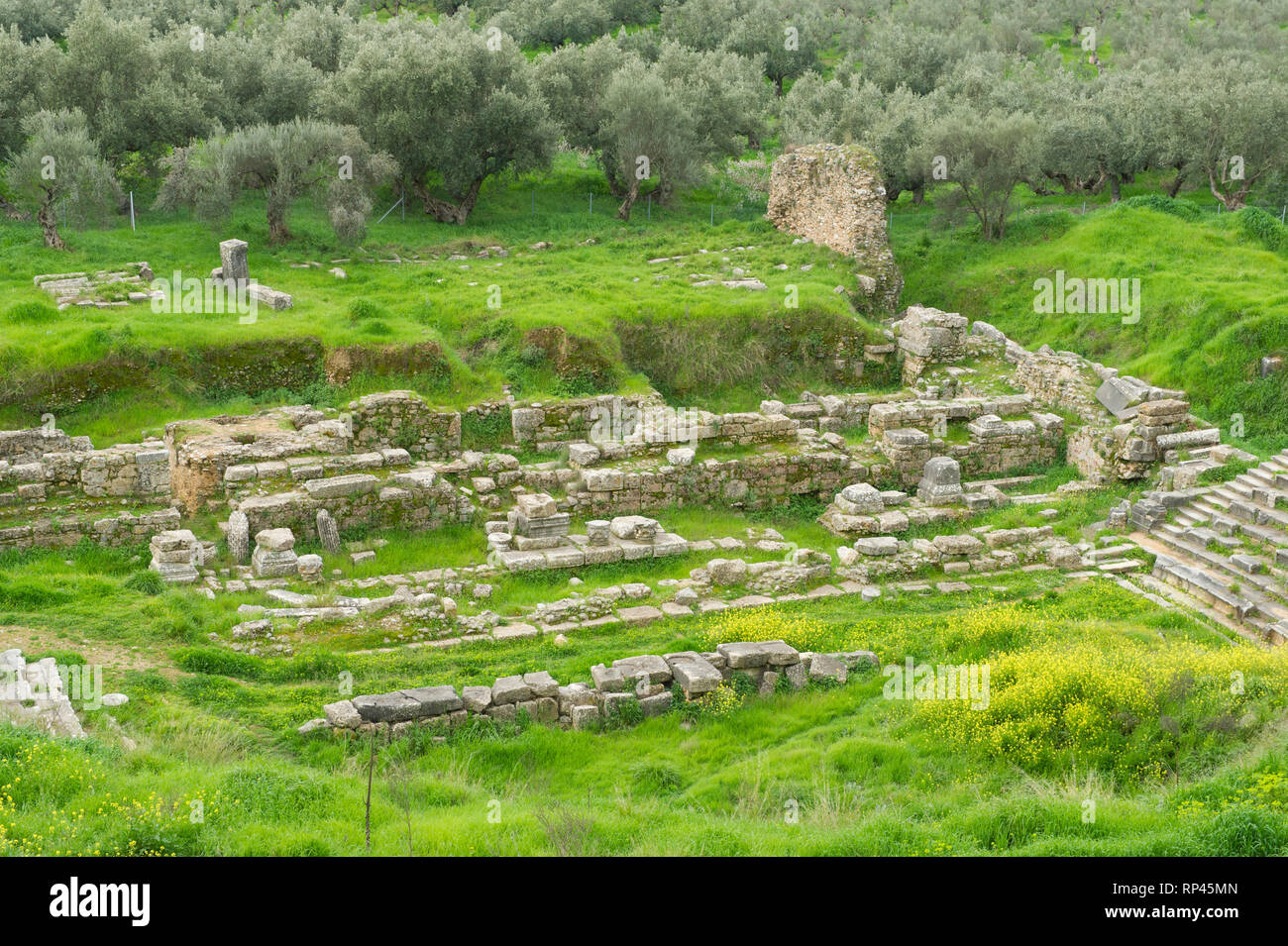 Sparta greece hi-res stock photography and images - Alamy