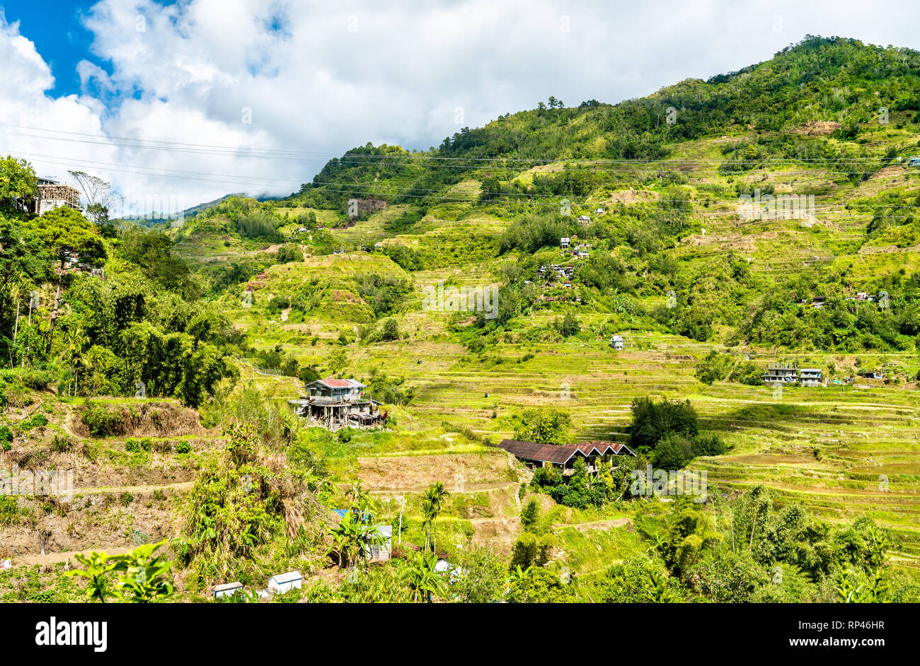 Philippines rice field hi-res stock photography and images - Alamy