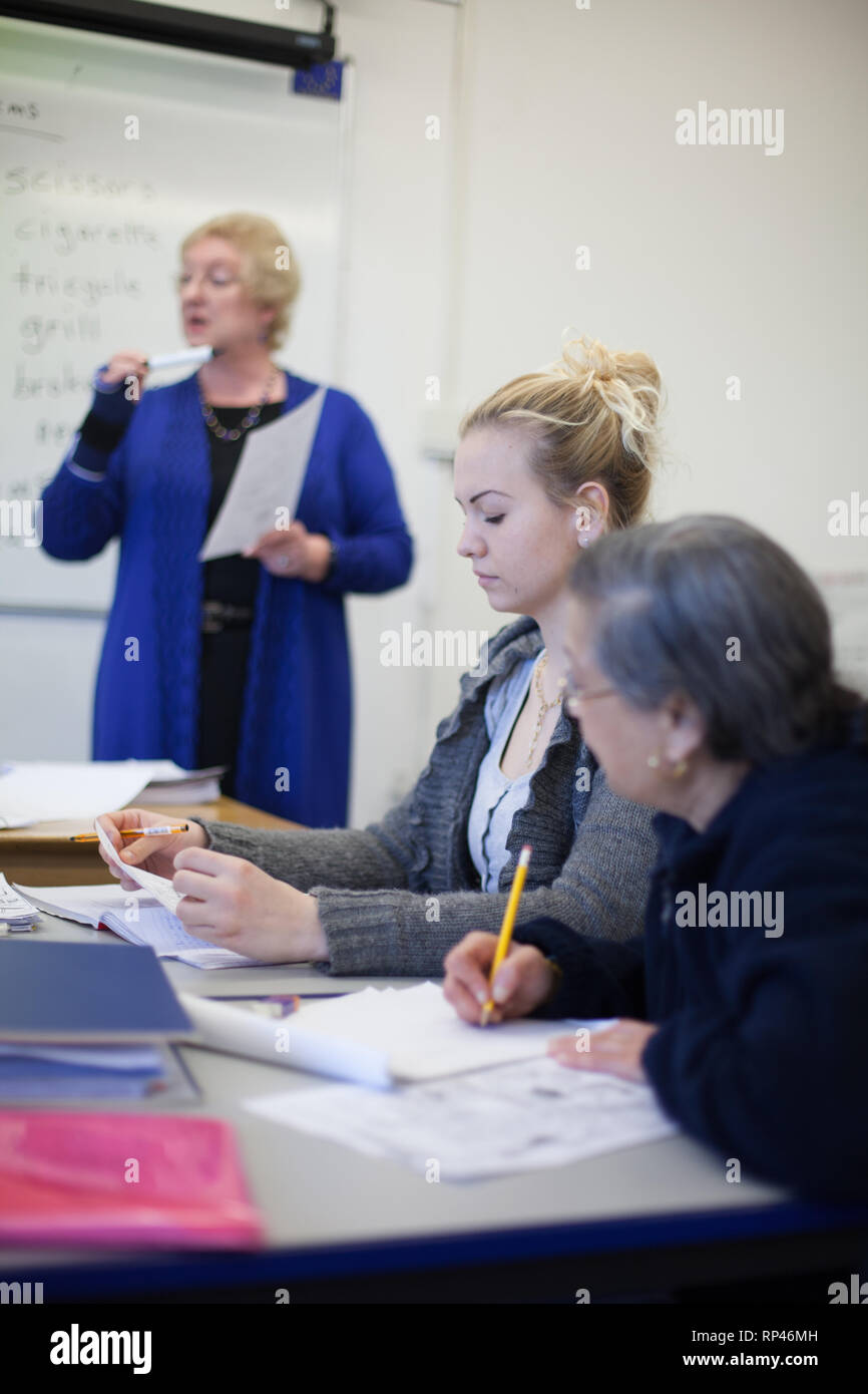 teacher working in a classroom studying ESOL, English for speakers of ...