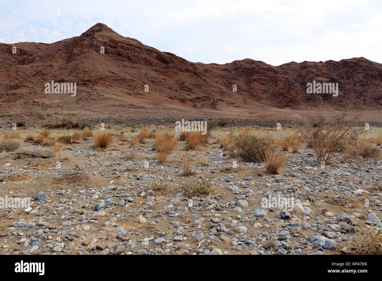 dried riverbed (Sossusvlei) - Namibia Africa Stock Photo - Alamy