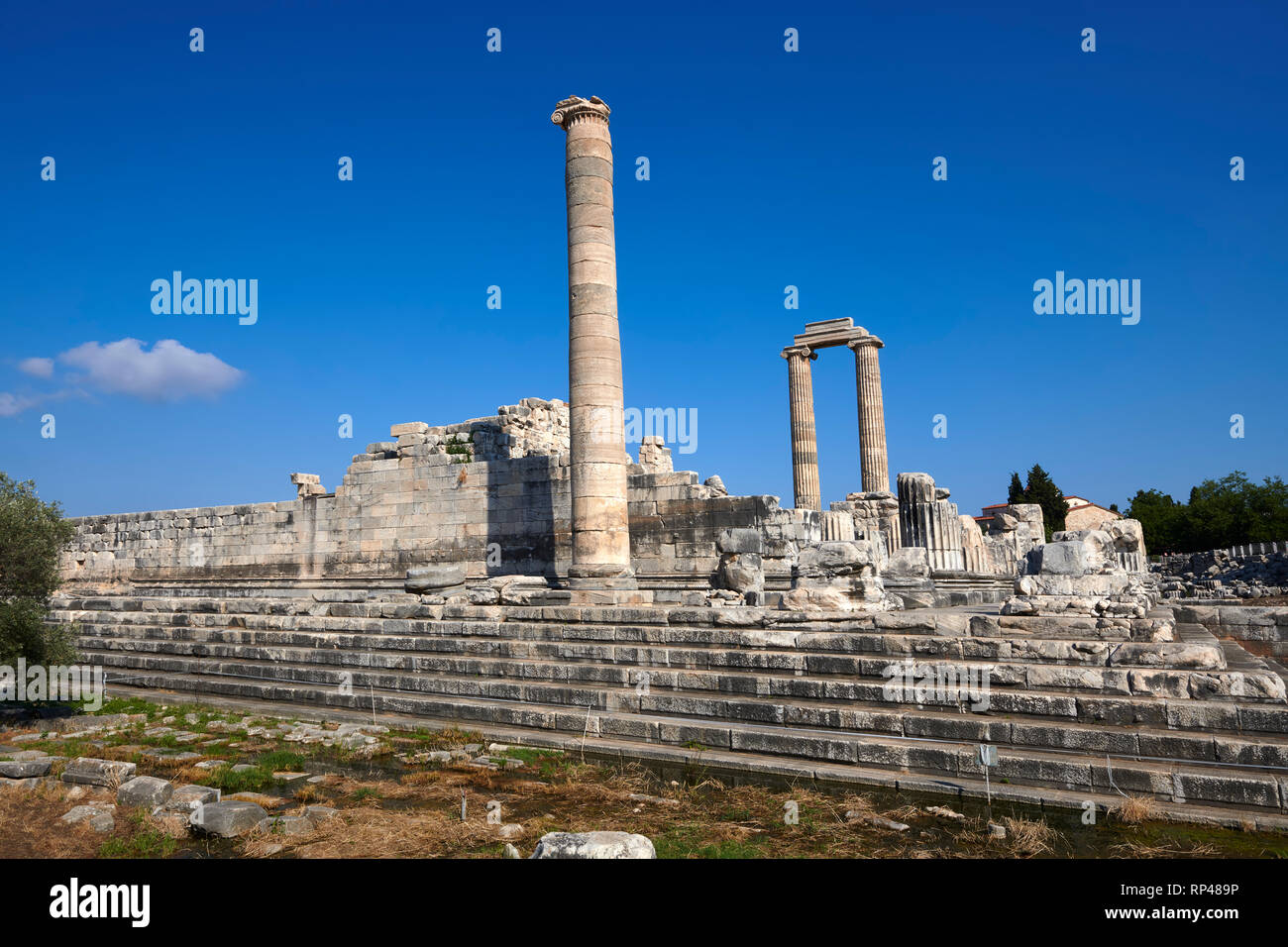 Picture of the ruins of the Ancient Ionian Greek Didyma Temple of ...