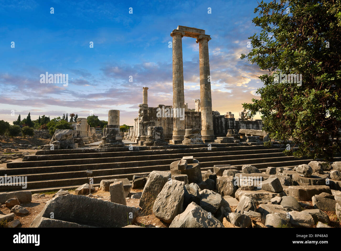 Picture of the ruins of the Ancient Ionian Greek Didyma Temple of ...