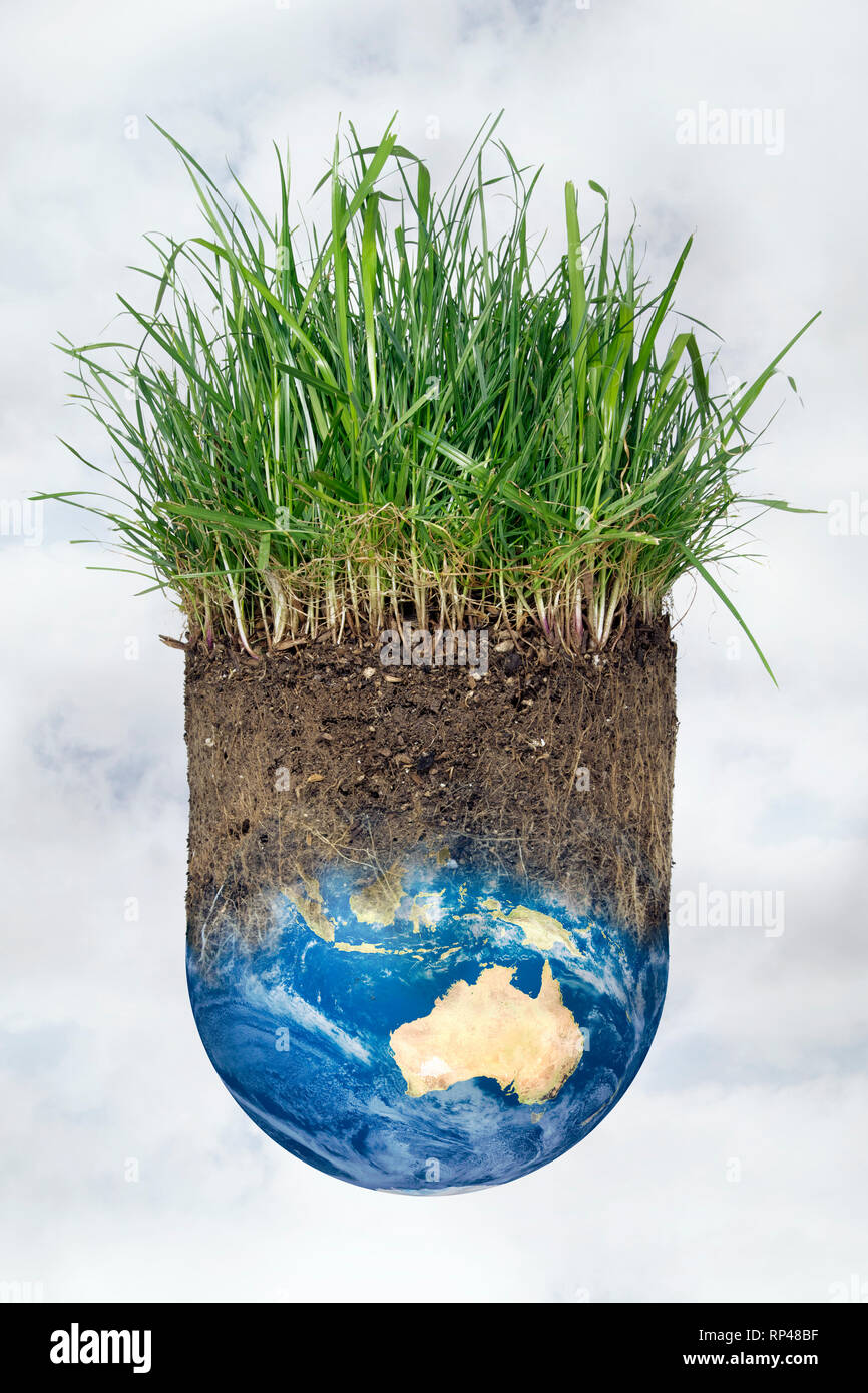 Growth from the earth concept Stock Photo - Alamy