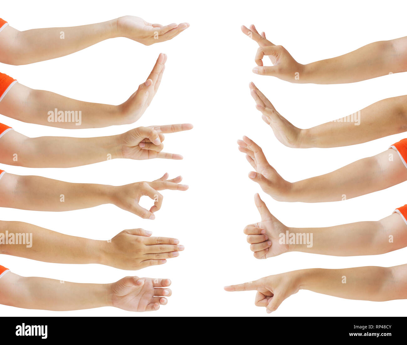 Collection of female's hand gesture isolated on white background. Set ...