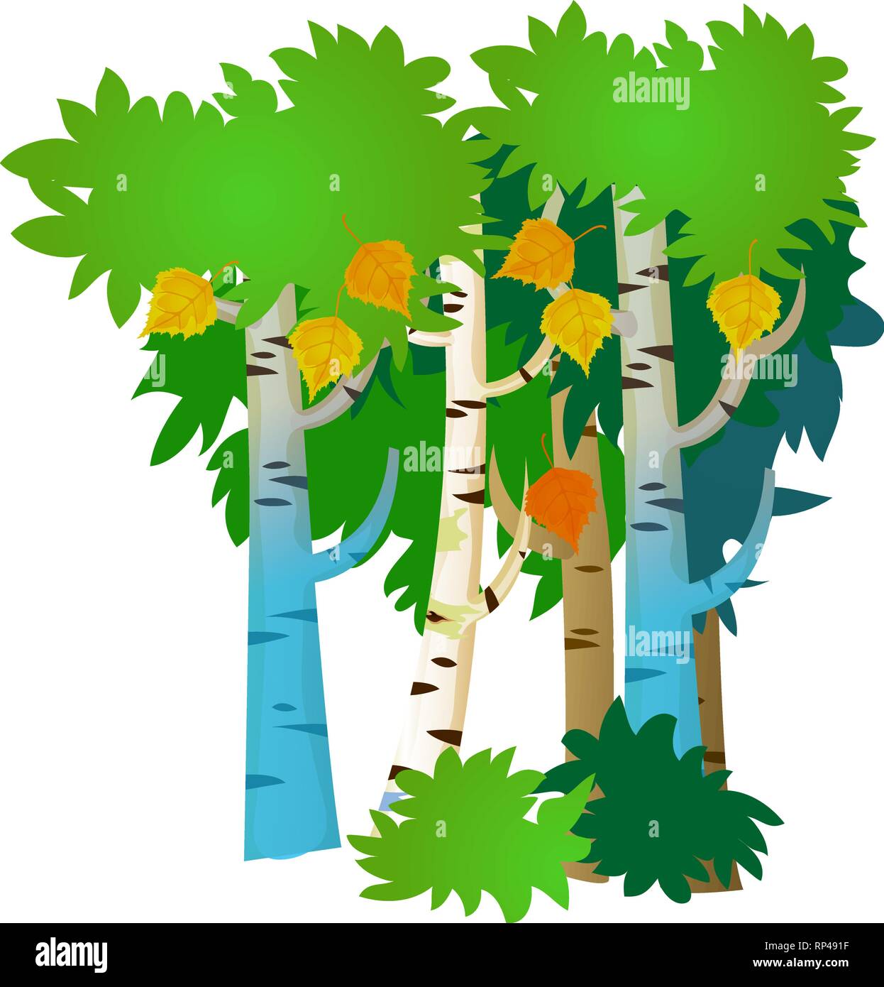 Cartoon birch hi-res stock photography and images - Alamy